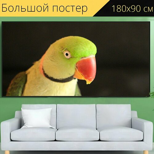 Большой постер "Попугай, птица зеленый, птица" 180 x 90 см. для интерьера