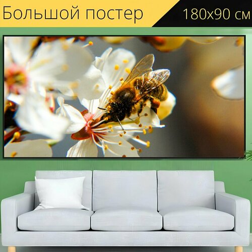 Большой постер "Пчела, цветок, нектар" 180 x 90 см. для интерьера