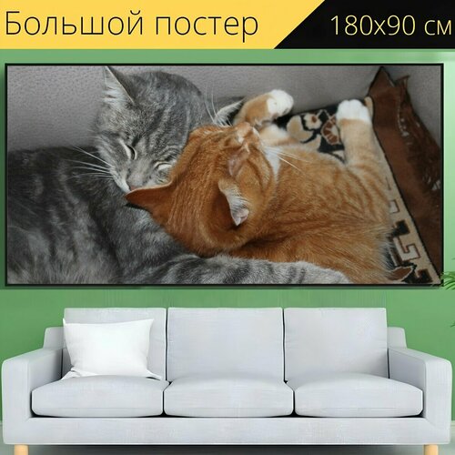 Большой постер "Дружба, кот, животные" 180 x 90 см. для интерьера