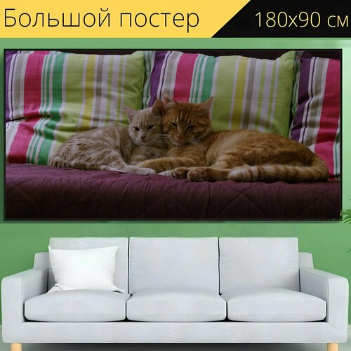 Большой постер "Кошка, котенок, симпатичные" 180 x 90 см. для интерьера