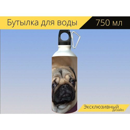 Бутылка фляга для воды "Порода мопс, собаки, животные" 750 мл. с карабином и принтом