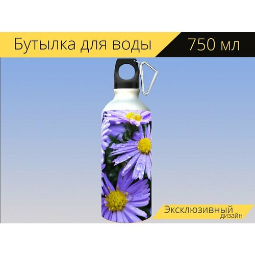 Бутылка фляга для воды "Цветы, астры, роса" 750 мл. с карабином и принтом
