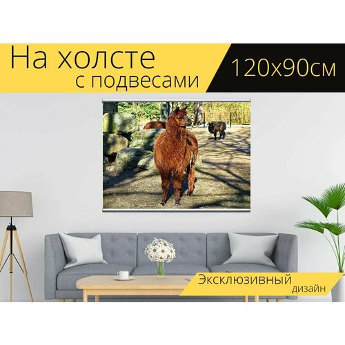 Картина на холсте "Альпака, животное, млекопитающее" с подвесами 120х90 см. для интерьера