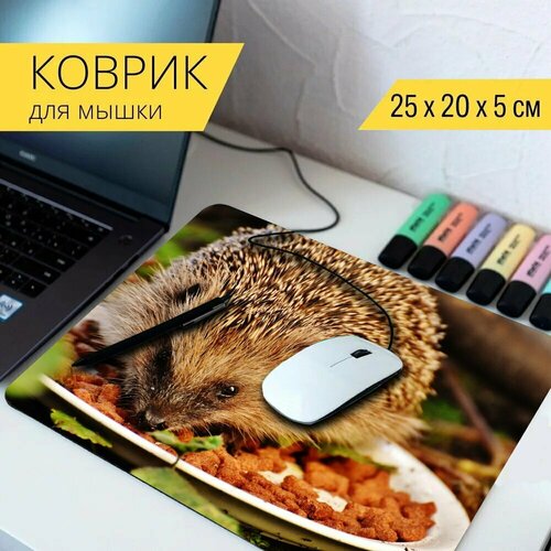 Коврик для мыши с принтом "Ежик, молодой ежик, животное" 25x20см.
