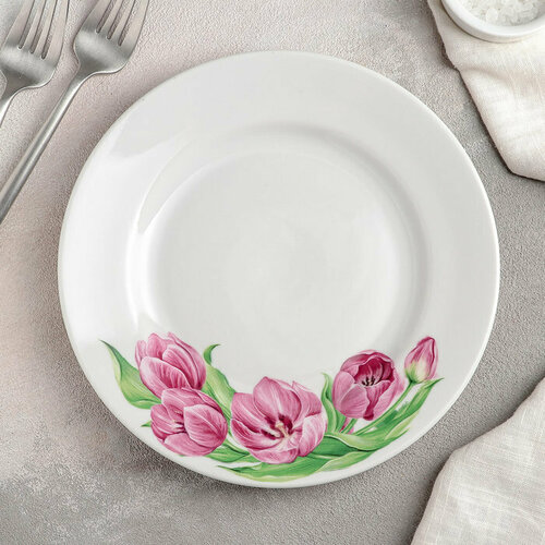 Тарелка фарфоровая «Розовые тюльпаны», d=20 см, белая (комплект из 7 шт)