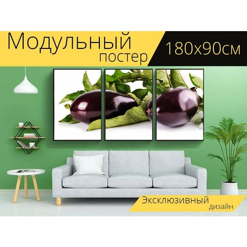 Модульный постер "Баклажан, овощи, еда" 180 x 90 см. для интерьера