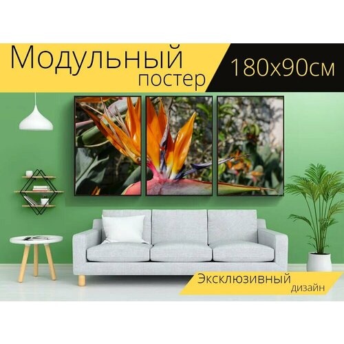 Модульный постер "Стрельба, райская птица цветок, цветок попугая" 180 x 90 см. для интерьера