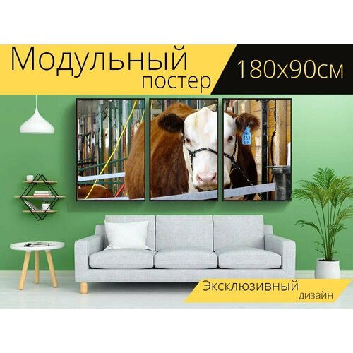 Модульный постер "Корова, молочные продукты, ферма" 180 x 90 см. для интерьера
