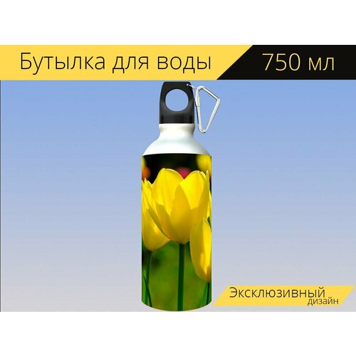Бутылка фляга для воды "Тюльпаны, желтый, цвести" 750 мл. с карабином и принтом