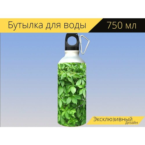Бутылка фляга для воды "Листья, лозы, вирджиния рептилия" 750 мл. с карабином и принтом