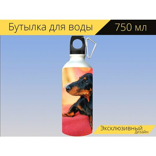 Бутылка фляга для воды "Собака, такса, щенок" 750 мл. с карабином и принтом
