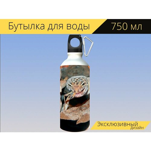 Бутылка фляга для воды "Рептилия, террариум, ящерица" 750 мл. с карабином и принтом