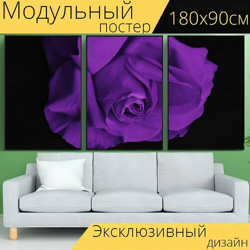 Модульный постер "Розы, цветок, любовь" 180 x 90 см. для интерьера