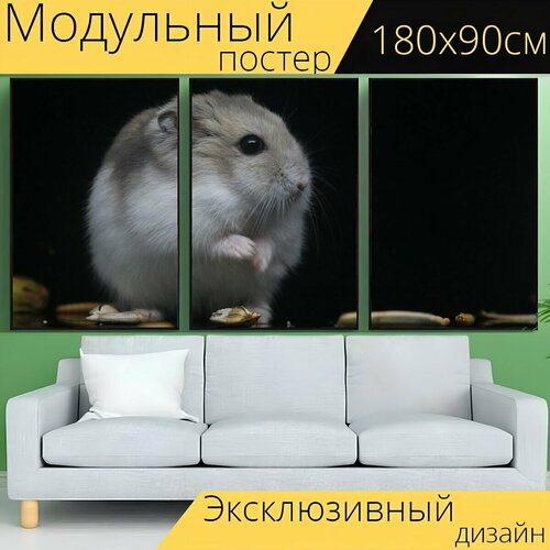 Модульный постер "Хомяк, домашние питомцы, мелких животных" 180 x 90 см. для интерьера