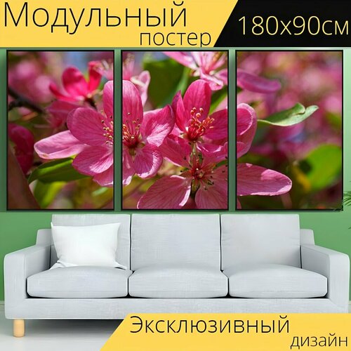 Модульный постер "Цветение вишни, цветы, розовый" 180 x 90 см. для интерьера