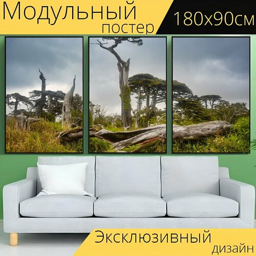 Модульный постер "Пейзаж, природа, деревья" 180 x 90 см. для интерьера