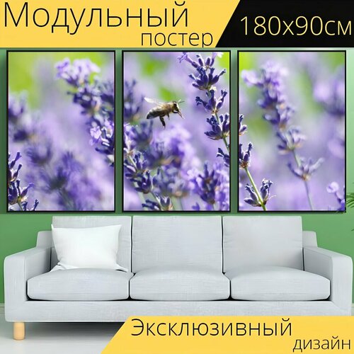Модульный постер "Пчела, лаванда, сад" 180 x 90 см. для интерьера