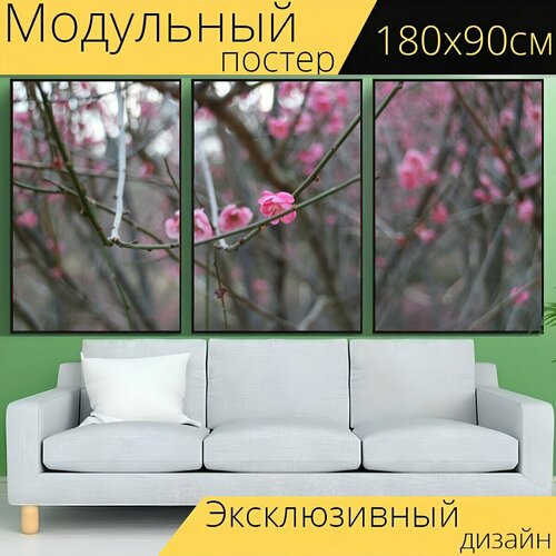Модульный постер "Цветок сливы, цветок, розовый" 180 x 90 см. для интерьера