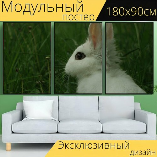 Модульный постер "Кролик, природа, животное" 180 x 90 см. для интерьера