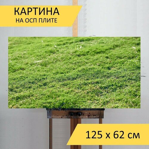 Картина на ОСП 125х62 см. "Трава, зеленый, луг" горизонтальная, для интерьера, с креплениями