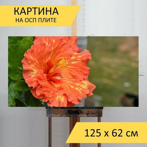 Картина на ОСП 125х62 см. "Гибискус, цветок, апельсин" горизонтальная, для интерьера, с креплениями