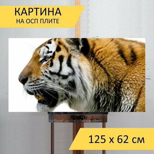Картина на ОСП 125х62 см. "Тигр, освобождение, большой кот" горизонтальная, для интерьера, с креплениями