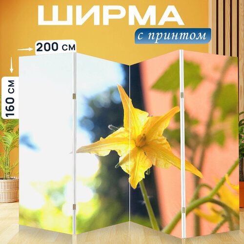 Ширма перегородка с принтом "Цветок, цветок цуккини, пестик" на холсте - 200x160 см. для зонирования, раскладная