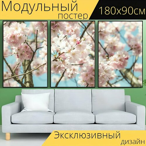 Модульный постер "Японская вишня, цветок, цвести" 180 x 90 см. для интерьера