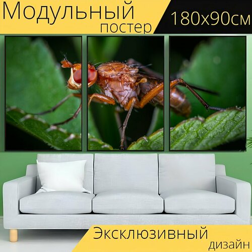 Модульный постер "Макро, насекомое, муха" 180 x 90 см. для интерьера