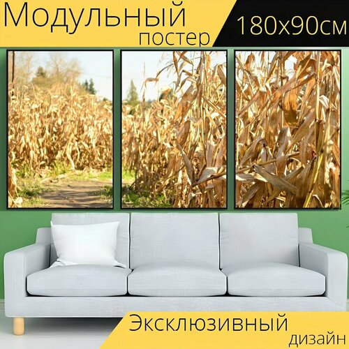 Модульный постер "Кукуруза, поле, ферма" 180 x 90 см. для интерьера