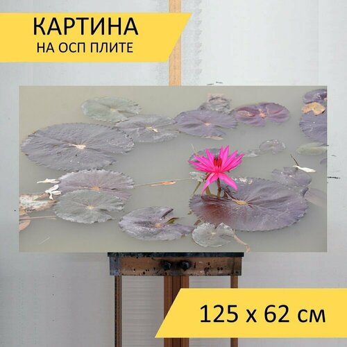 Картина на ОСП 125х62 см. "Водяная лилия, цветок, лепестки" горизонтальная, для интерьера, с креплениями