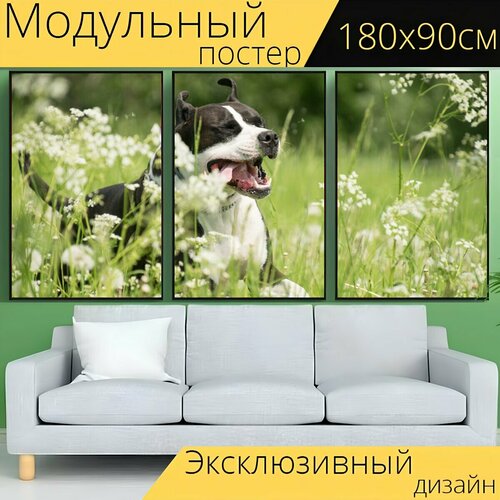 Модульный постер "Собака, запустить, язык" 180 x 90 см. для интерьера