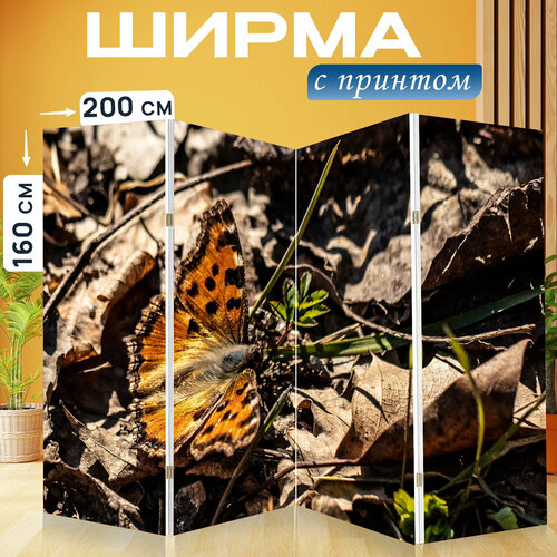 Ширма перегородка с принтом "Большая лиса, природа, бабочка" на холсте - 200x160 см. для зонирования, раскладная