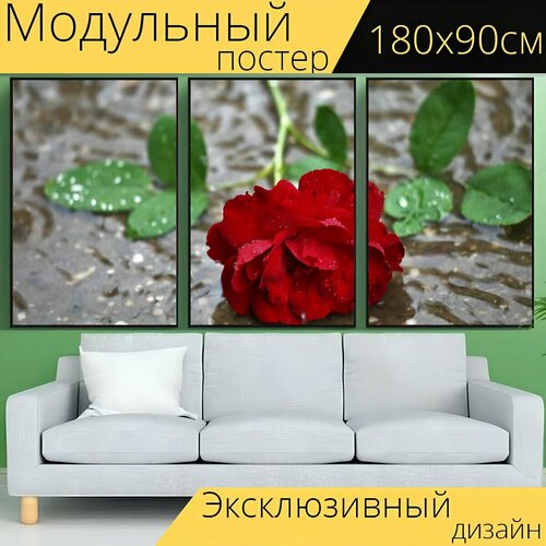 Модульный постер "Красная роза в дожде, темный готический настроение, ушел в тишину" 180 x 90 см. для интерьера