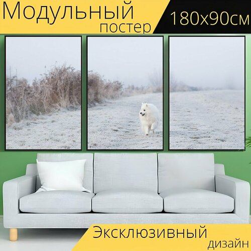 Модульный постер "Собака, хаски, снег" 180 x 90 см. для интерьера