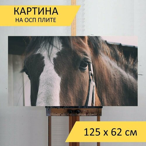 Картина на ОСП 125х62 см. "Шайрская лошадь, лошадь, коричневый" горизонтальная, для интерьера, с креплениями