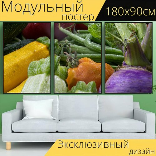 Модульный постер "Овощи, еда, рынок" 180 x 90 см. для интерьера
