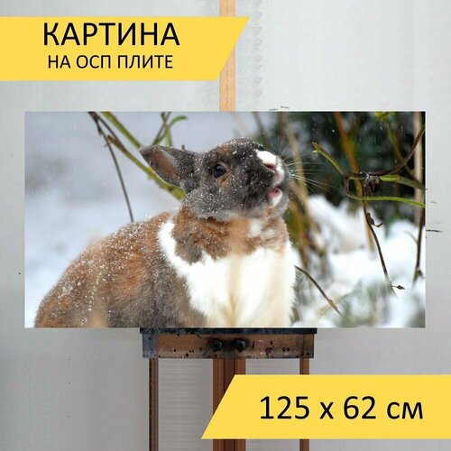 Картина на ОСП 125х62 см. "Кролик, домашний питомец, снег" горизонтальная, для интерьера, с креплениями