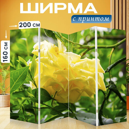 Ширма перегородка с принтом "Цветок, лепестки, листья" на холсте - 200x160 см. для зонирования, раскладная