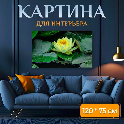 Картина на холсте "Лотос, цветок, цветение" на подрамнике 120х75 см. для интерьера