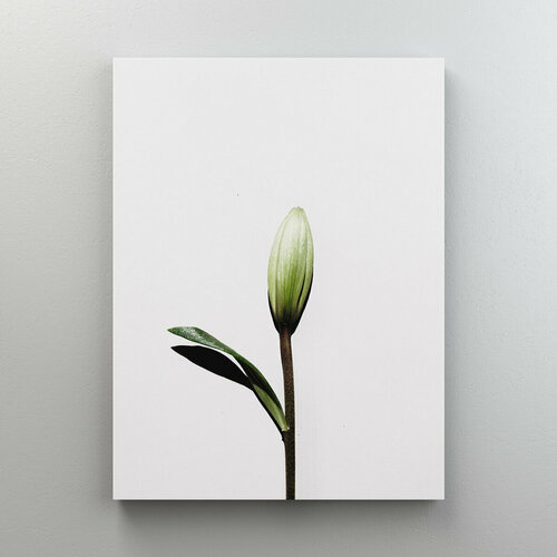 Интерьерная картина на холсте "Белая лилия" в скандинавском стиле, размер 22x30 см