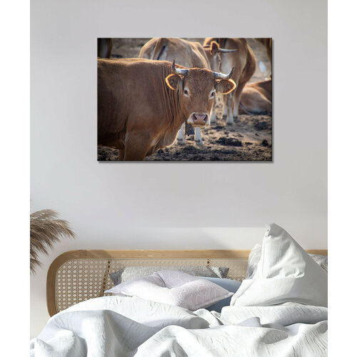 Картина -Корова, коричневая корова, корова на пастбище, бык (4) 20х30