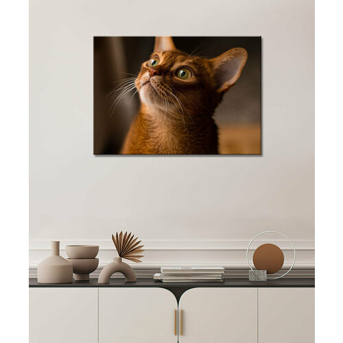 Картина - кошка, абиссинская кошка, древняя кошка, домашняя кошка, ласковая кошка, кот (182) 30х40