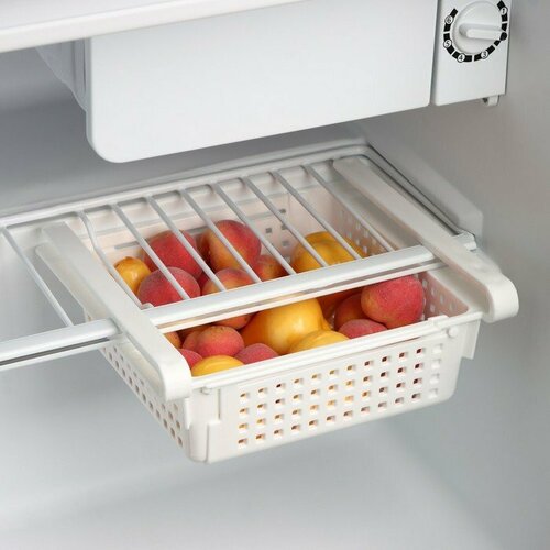 Органайзер для холодильника раздвижной «Лофт», 19,7×20×7,7 см, цвет белый (комплект из 5 шт)