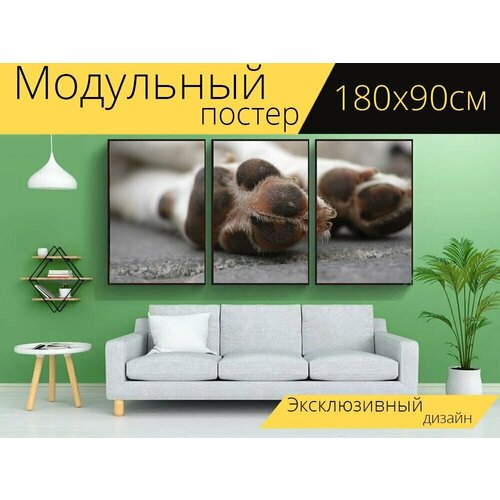 Модульный постер "Собака, боль, улица" 180 x 90 см. для интерьера