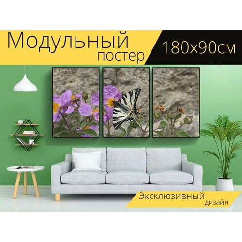 Модульный постер "Ласточкин хвост, моль, бабочка" 180 x 90 см. для интерьера