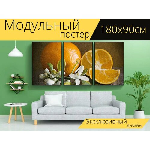 Модульный постер "Апельсины, натюрморт, фрукты" 180 x 90 см. для интерьера