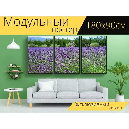 Модульный постер "Цветок лаванды, лаванда, сиреневое поле" 180 x 90 см. для интерьера