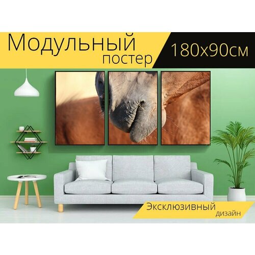 Модульный постер "Лошадь, морда, ноздря" 180 x 90 см. для интерьера