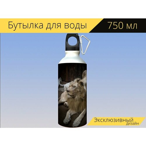 Бутылка фляга для воды "Лев, львица, белый лев" 750 мл. с карабином и принтом